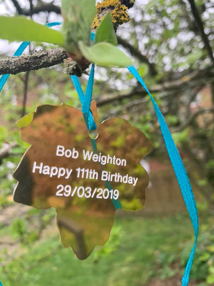 Field Maple plaque in brass, copper & stainless steel for the Finch ...